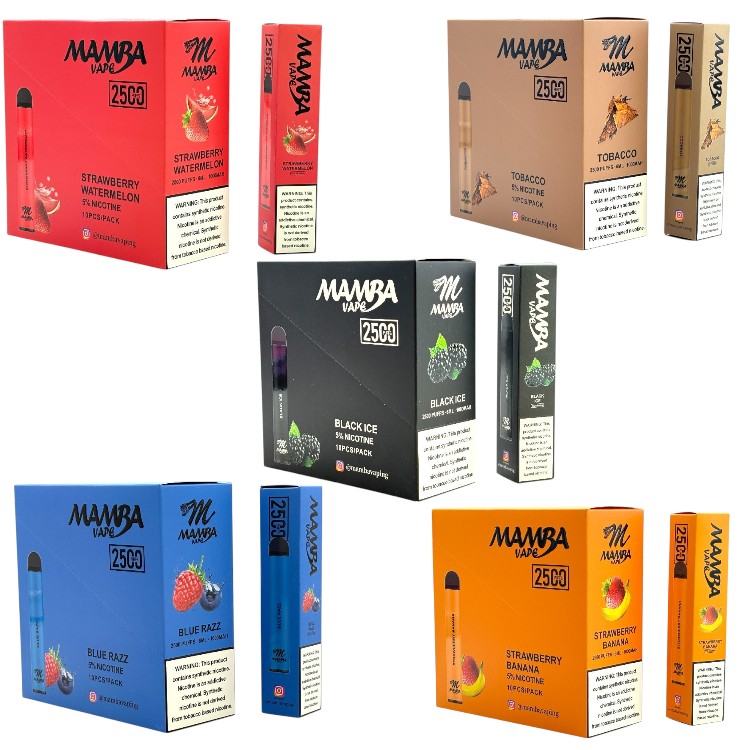 Mamba Vape 2500 Disposable Vape | 101Distributors Ga