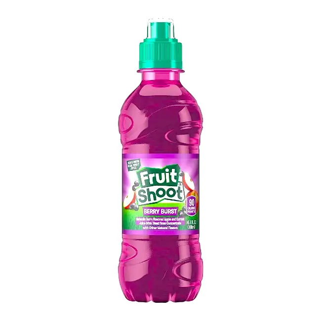 Fruit Shoot Juice - Plastic Bottle - 10.1oz | 101Distributorsga