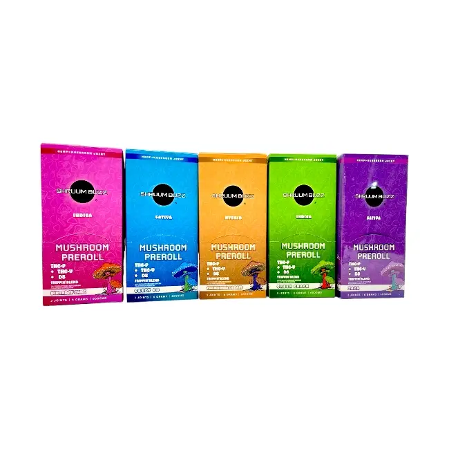 Shruum Buzz Mushroom Preroll - Delta | 101Distributorsga
