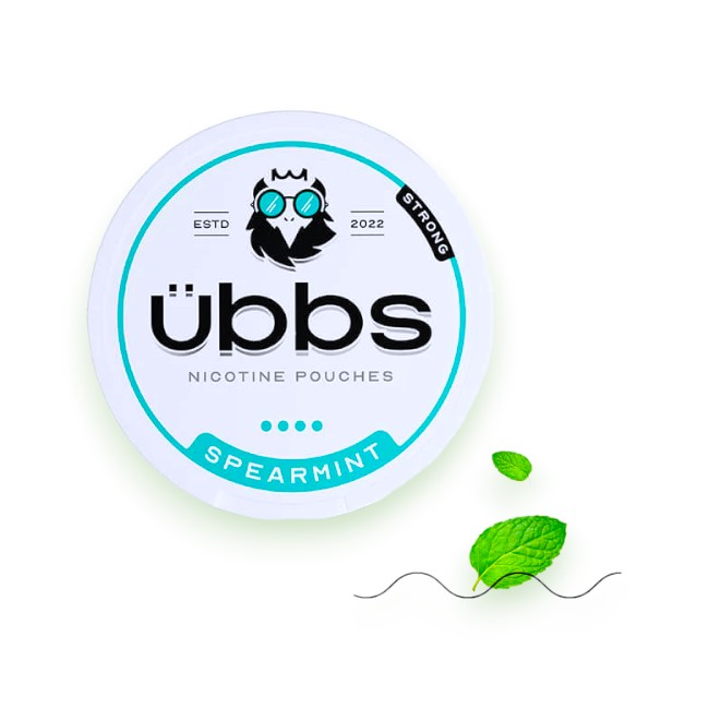 UBBS Pouches Snuff 14mg | 101distributorsga