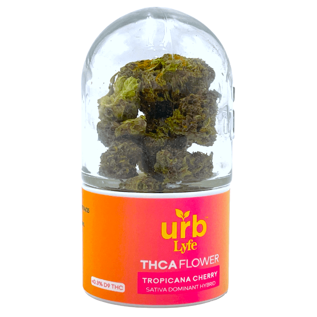 Urb Lyfe Premium THCa Flower 5g | 101 Distributors